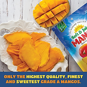 Dried Mango Slices - Delicious Texture Soft & Juicy Low Sugar Added Dried Mango - Naturally Ripened Mangos Dried Fruits - Gluten Free Dry Mangoes Natural Source of Vitamin C, Fiber, (16 Oz Dried Mango)