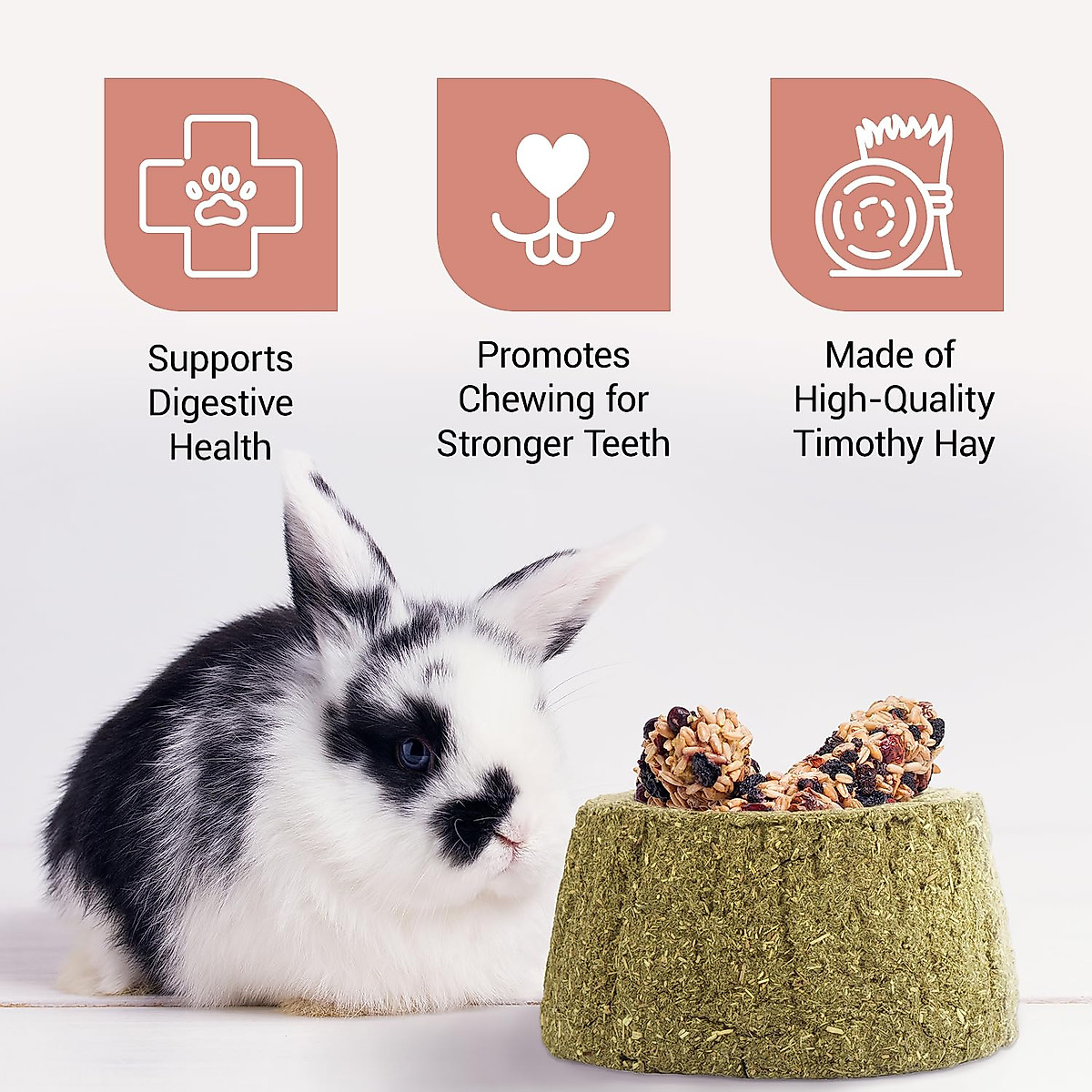Evergreen Pet Supplies [4 Pack] Furry Friends Timothy Hay Chewing Bowl for Small Pets & Bunnies - Edible Bowls for Guinea Pig Treats - Ferret & Rabbit Toys - Guinea Pig Food Bowl - Bunny Toys