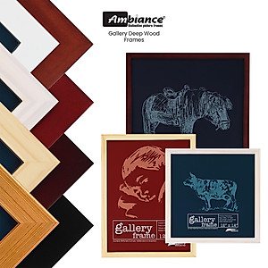 Ambiance Gallery Wood 1.5" Deep Picture Frames - 16x20" Black Wood Frame, Shatter-Resistant Acrylic Glazing & MDF Backing, Horizontal or Vertical Wall Wall Display