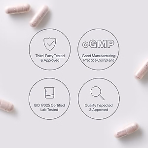 Pendulum Polyphenol Booster, Antioxidant from Superfoods, Beneficial Plant Compounds for Good Health, Helps Boost Akkermansia Muciniphila for Men & Women (60 Capsules, 1-Pack)