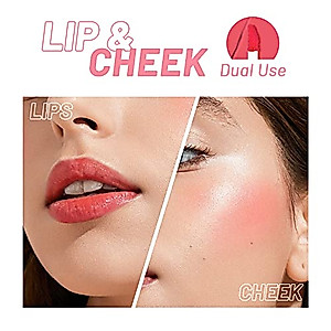 FREEORR 5 Colors Lip Tint Stain Set, Blusher Water Tint Makeup, Lip Stain Waterproof Long Lasting, Hydrating Fruity Dyeing Liquid Tint For Lips, Lip Tint For Girls and Women