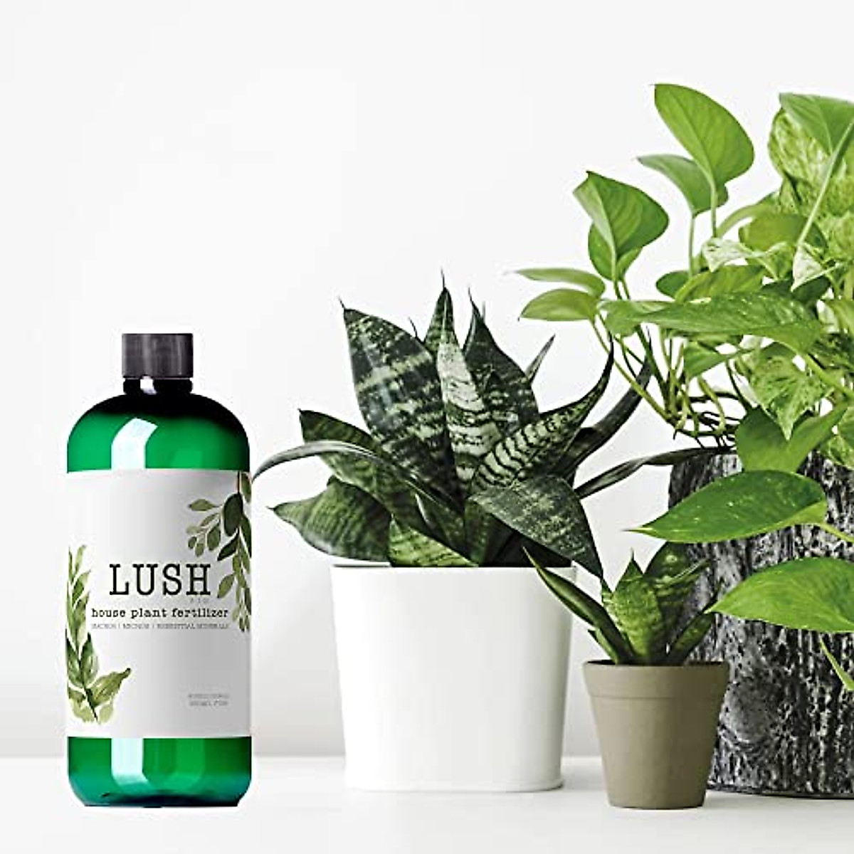 Lush Houseplant Fertilizer | 500ml Concentrated Liquid Fertilizer | Makes Over 50 Gallons | Made in The USA (500ml/16.9oz)