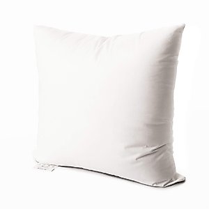 EDOW Luxury Throw Pillow Insert, Soft Fluffy Down Alternative Polyester Square Form Decorative Pillow Insert,Sham Stuffer,Cotton Cover for Sofa, Couch,Bed and Car. (White, 18x18)