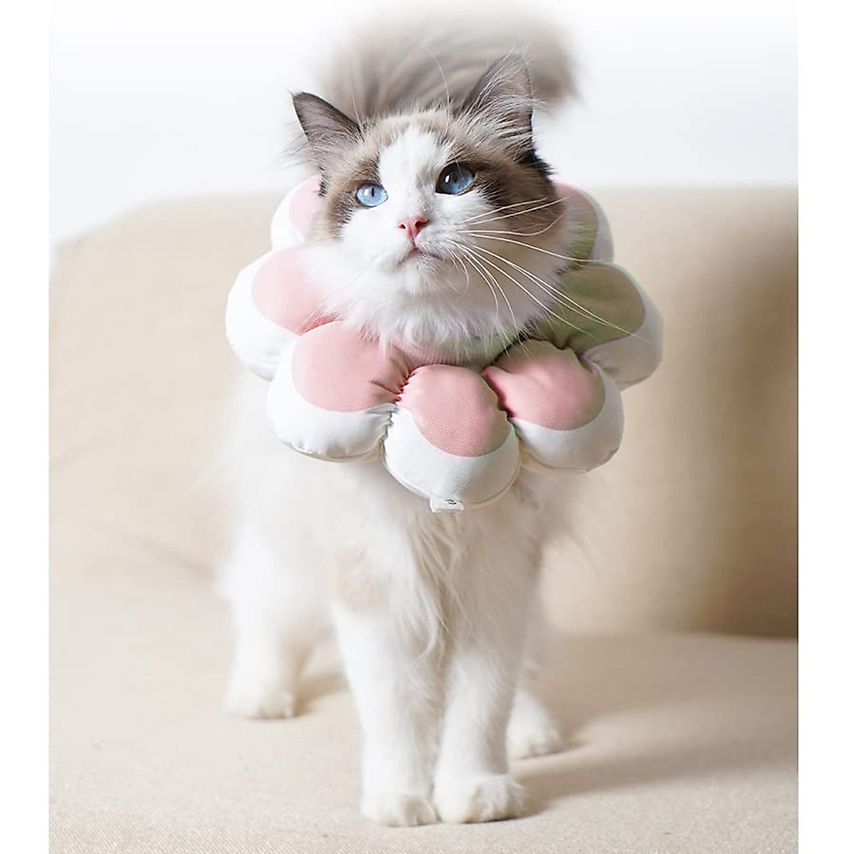 SHIAOMIN Cat Recovery Cone Collar Pet E-Collar Elizabethan Collar After Surgery Recovery Pet Cone for Cat Puppy Breathable Soft Edge and Easy to Clean (Pink, Medium)