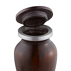 Reminded Small Cremation Memorial Urn for Human Ashes, Brown Mini Keepsake with Velvet Case