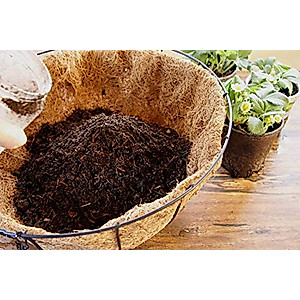 FDGARDEN 2PCS Round Replacement Coco Liner for Hanging Basket, 12 inch Coconut Fiber Plant Basket Liner for Garden Planter Flower Pot (12 inch Round)