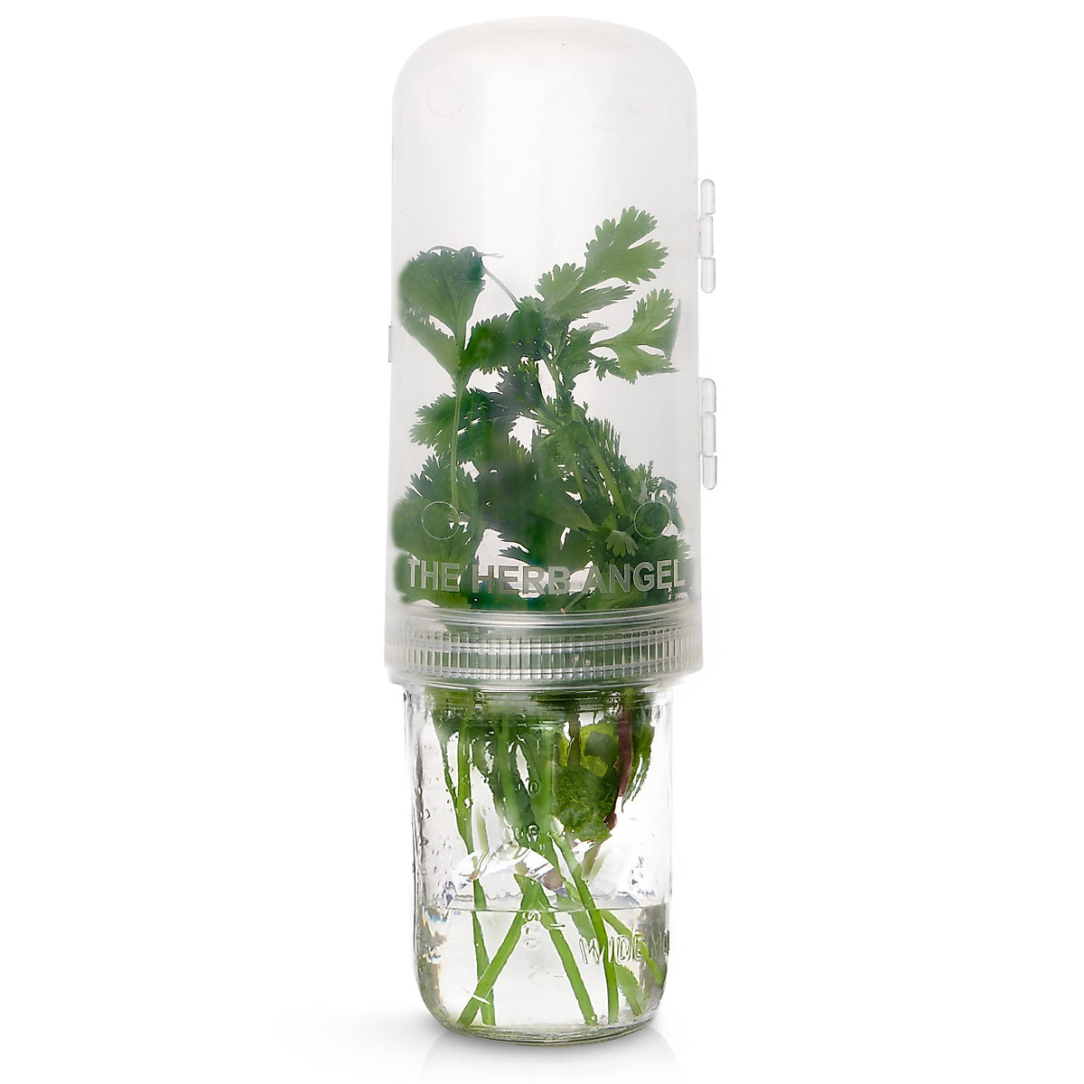 The Herb Angel Mason Jar Herb Lid - Fresh Herb Keeper - Herb Saver Pod for Cilantro, Parsley, Basil, Chives, Mint and More - Herb Storage Container for Refrigerator