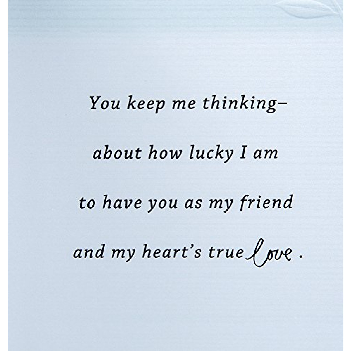 Hallmark Anniversary Card (Dragonfly and Leaf)