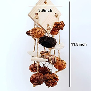 Bird Chewing Toys-Natural Wood Hanging Bird Cage Toys Set-Bird Swing Toys for Parrots, Parakeets, Cockatiels, Lovebird, Budgie, Conures (S-Cuttlebone)