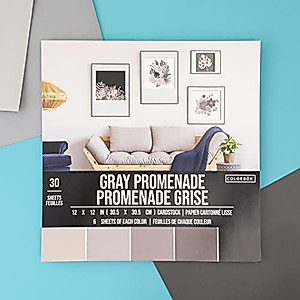 Colorbok - 71880A Smooth Cardstock Paper Pad, 12" x 12", Gray Promenage