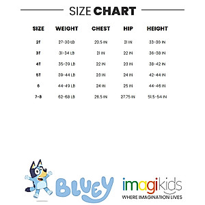 Bluey Toddler Boys Fleece Hoodie and Pants Outfit Set Grey/Blue 2T