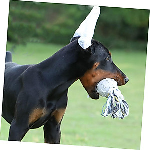 BCOATH 10pcs Puppy Dog Ear Stand Ear Standing Tool Pet Ear Tape Dog Ear Support Dog Supply Ear Standing Support Stick Doberman Pinscher Bracket Foam White Pet Dog Dedicated