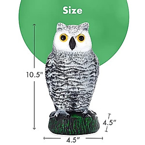 Horned Fake Owl and Bird - 10.5" Plastic Owls to Scare Birds Away - Effective Bird Devices - Scarecrow for Garden - Bird Devices Outdoor, Keep Birds Away