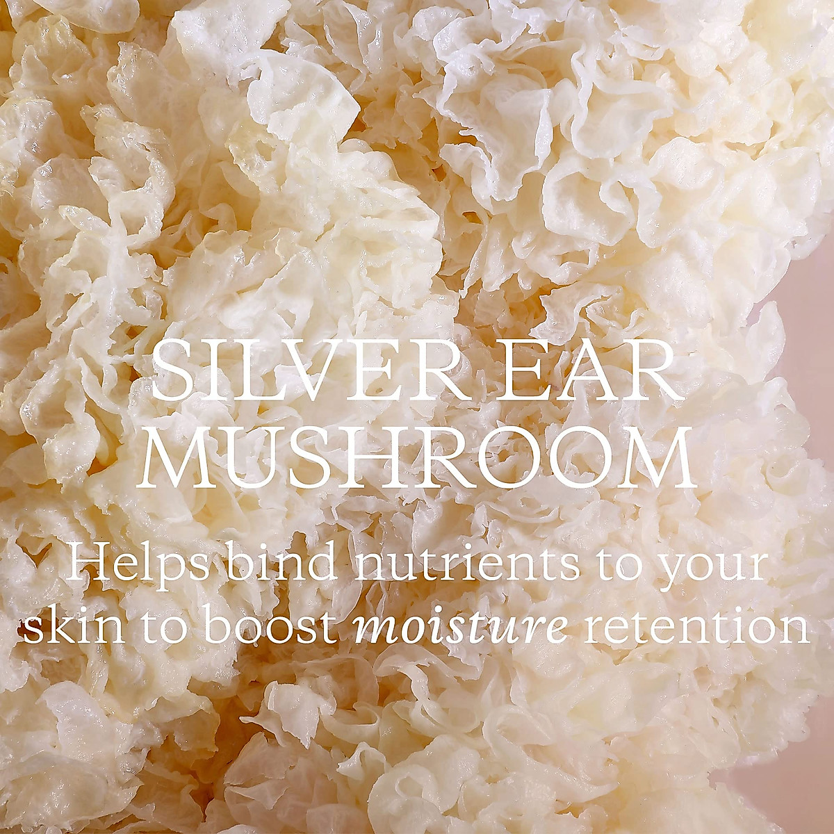 KORA Organics Milky Mushroom Oil Cleanser, Cleanse & Nourish, Certified Organic, Cruelty Free, 5.07 oz