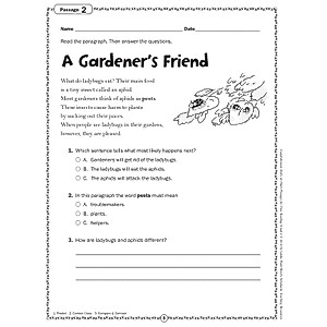 Scholastic Teaching Resources SC-546053 Comprehension Skills Gr 2 40 Short Passages For Close Reading