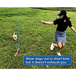 Interactive Flirt Pole Toy for Dogs Chase and Tug of War,Durable Teaser Wand with Pet Fleece Rope Tether Lure Toy to Outdoor Exercise & Training for Small Medium Large Dogs (Blue/Red, POLE-35 inches)