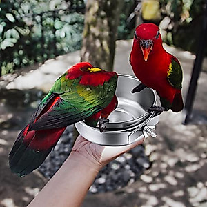 4 Packs Stainless Steel Bird Feeding Dish Cups 30 oz Bird Feeder Parrot Water Food Bowl Stainless Steel Pet Bowls with Clamp Bird Cage Accessories for Bird Cockatiel Budgies Parakeet Small Animals