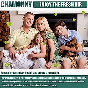 CHAMONNY IAF-H-100D Idylis D Replacement Filter Size D, Compatible with Idylis AC-2118, AC-2123, IAP-10-280 Air Purifier Devices, 2 H13 True HEPA Filters + 4 Activated Carbon Pre-filters