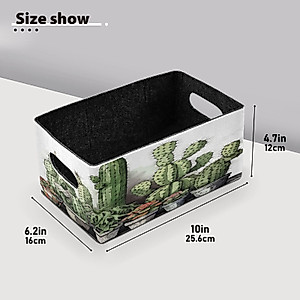 YETTASBIN Cactus Felt Storage Baskets with Handle, Collapsible Open Storage Bin Drawers Storage Box for Shelf Closet Office Bedroom Nursery Home, 2 Pack
