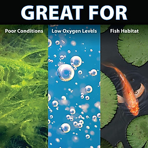 CrystalClear PondAir 2, Complete Aeration Kit, Whisper Quiet Water Garden Oxygenation Bubbler System Adds Oxygen to Koi & Fish Ponds, Outdoor Aerator Compressor Pump, Tubing & 2 Air Submersible Stones