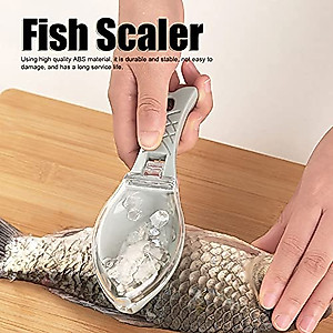 10Pcs Fish Scale Remover,Fish Scaler, Fast Remove Fish Skin Brush Plastic Fish Scales Graters Scraper,Fish Descaler Tool Skin Brush Kitchen Cooking Tools, Fish Scaler,10Pcs Fish Scale Remover, F