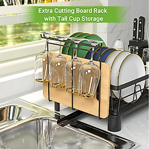 Dish Drying Rack - Stainless Steel Dish Rack for Kitchen Counter, Dish Drainer with Utensil Holder, Space-Saving, Rust-Resistant Dish Rack for Dishes, Glasses, and Cutting Board, 12''W x 15''L, Black
