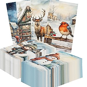 Winter Theme Napkins,40pcs Winter Wonderland Cocktail Napkins Snowman Winter Paper Napkins for Winter Christmas Holiday Bathroom Decorations