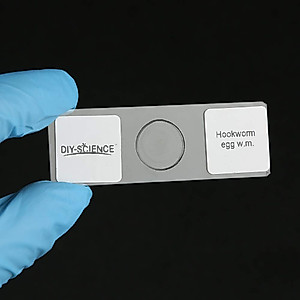 Prepared Parasitology Microscope Slide Set, Excellent 30pcs Slides Resource for Instruction at The College Level (Parasitology)