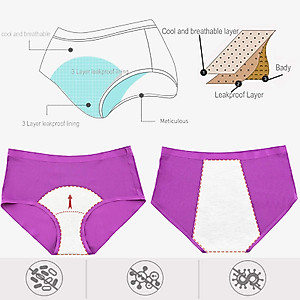 WBEAUTALLOVE Womens Mesh Period Panties High Waisted Menstrual Leak Proof Underwear Incontinence Protective Briefs(H-4-5-1,5X-Large)