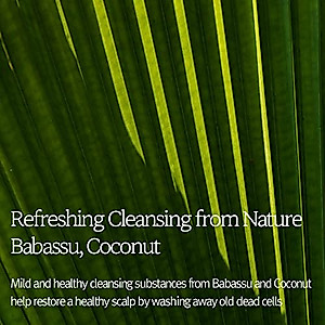 Nard Shampoo and Conditioner Set Signature 33.8 Fl Oz - Strong Vitality from Himalayas - Natural Surfactants giving Soft Cleansing - Argan Olive Jojoba Macadamia Sunflower Oil, Protein, Amino Acids