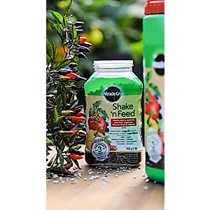 453g Shake n Feed Flowering Fruits and Vegetables Plant Fertilizer