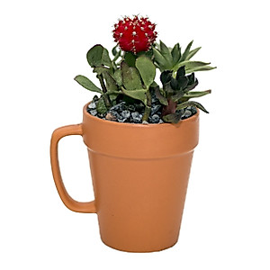 Culver 14-ounce Flower Pot Ceramic Mug, Set of 2 (Terra Cotta Color)
