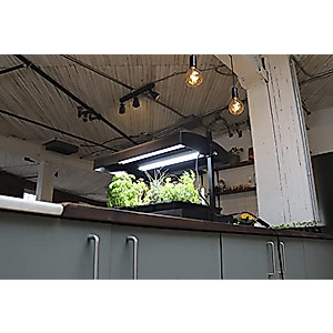 SunBlaster LED Indoor Growlight Garden, Home Growing Kit