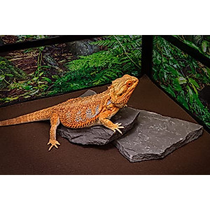 Carolina Custom Cages Natural Habitat Rocks, Deep Maroon, Medium Size Pair