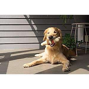 PetSafe Sportsmen Bristle Bone - Treat-Holding Toy for Dogs - Treat Rings Included - Treats Thoroughly Mixed During Bake to Prevent Choking - Rigorously Tested Ingredients - Orange, Large