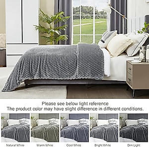 DREAMNINE Extra Large Soft Plush Fleece Bed Blanket King Size 90" x 108", Luxury Shaggy Lightweight 3D Patterned Velvet Flannel Blanket for Bedroom, Solid Gray Warm Lap Blanket for Winter Autumn, Grey