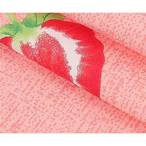 TRYLTBE 100% Brushed Microfiber Pillowcases Set of 2, Comfort Pillow Cases Standard Size, Fade, Stain Resistant with Envelope Closure Bed Pillow Cases (Color : C)