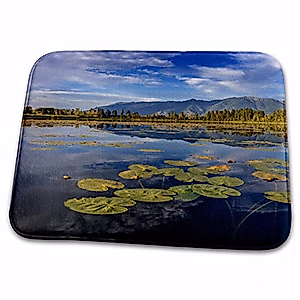 3dRose Lilly pads and Swan Range reflects into McWennger Slough,... - Dish Drying Mats (ddm-279220-1)