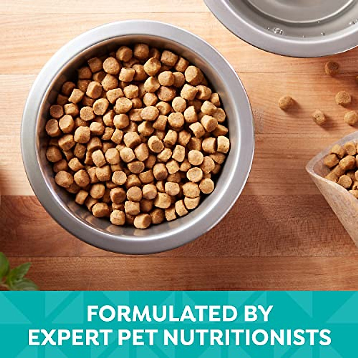 Nature’s Recipe Easy to Digest Dry Dog Food, Chicken, Rice & Barley Recipe, 24 Pound Bag