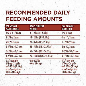 Purina ONE Plus Healthy Weight High-Protein Dog Food Dry Formula - 16.5 lb. Bag