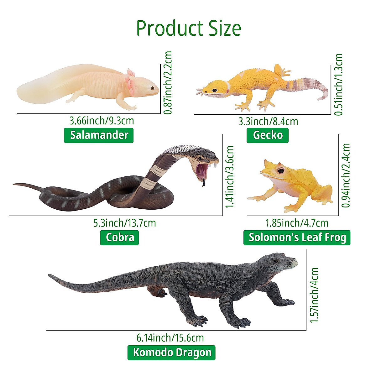 Toymany Reptile Animal Figurine Toys Set, 12 PCS Desert Amphibians Animal Figures with Komodo Dragon Lizard Snake Chameleon Rainforest Cold Blooded Animals Figures Party Favor for Kids