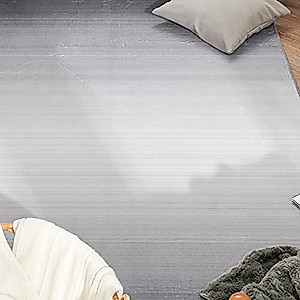 jinchan Area Rug 4x6 Modern Abstract Rug Grey Accent Rug Indoor Kitchen Rug Striped Ombre Print Mat Low Pile Rug Soft Carpet Contemporary Floor Cover for Living Room Bedroom Dining Room