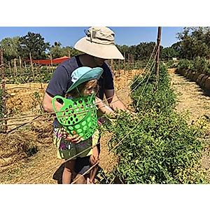 BaleBuster1 100% Organic Bale Conditioning Formula for one Bale Preparation for Straw Bale Garden and Vegetable Garden Planting