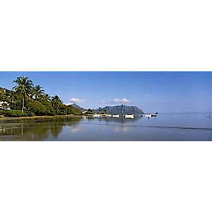 Posterazzi Palm trees at a coast Kaneohe Bay Oahu Hawaii USA Poster Print, (36 x 12)