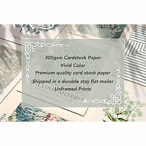 Waschbär Sage Green Room Decor Aesthetic - Green Wall Art Aesthetic Posters, Green Room Decor, Sage Minimalist Poster Set, Boho Prints Wall Collage, Matisse Pictures for Bedroom Decor (UNFRAMED)