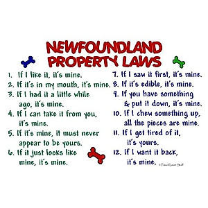 CafePress Newfoundland Property Laws 2 Mug Ceramic Coffee Mug, Tea Cup 11 oz