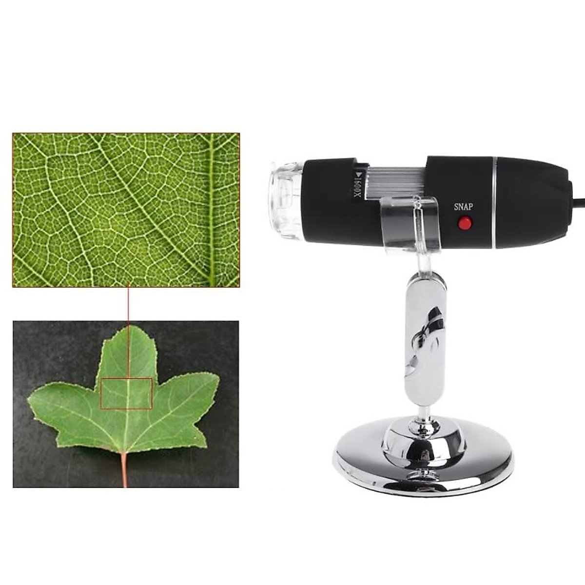 Handheld Digital Microscope Accessories 1600X 2MP Zoom Microscope 8 LED USB Magnifier Camera Microscope Accessories