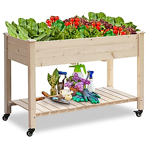 LYNSLIM Wooden Raised Garden Bed with Wheels & Shelf Elevated Planter Box for Flower Vegetable Grow, Natural Cedar Wood Frame Gardening Planting Bed,Easy Assembly