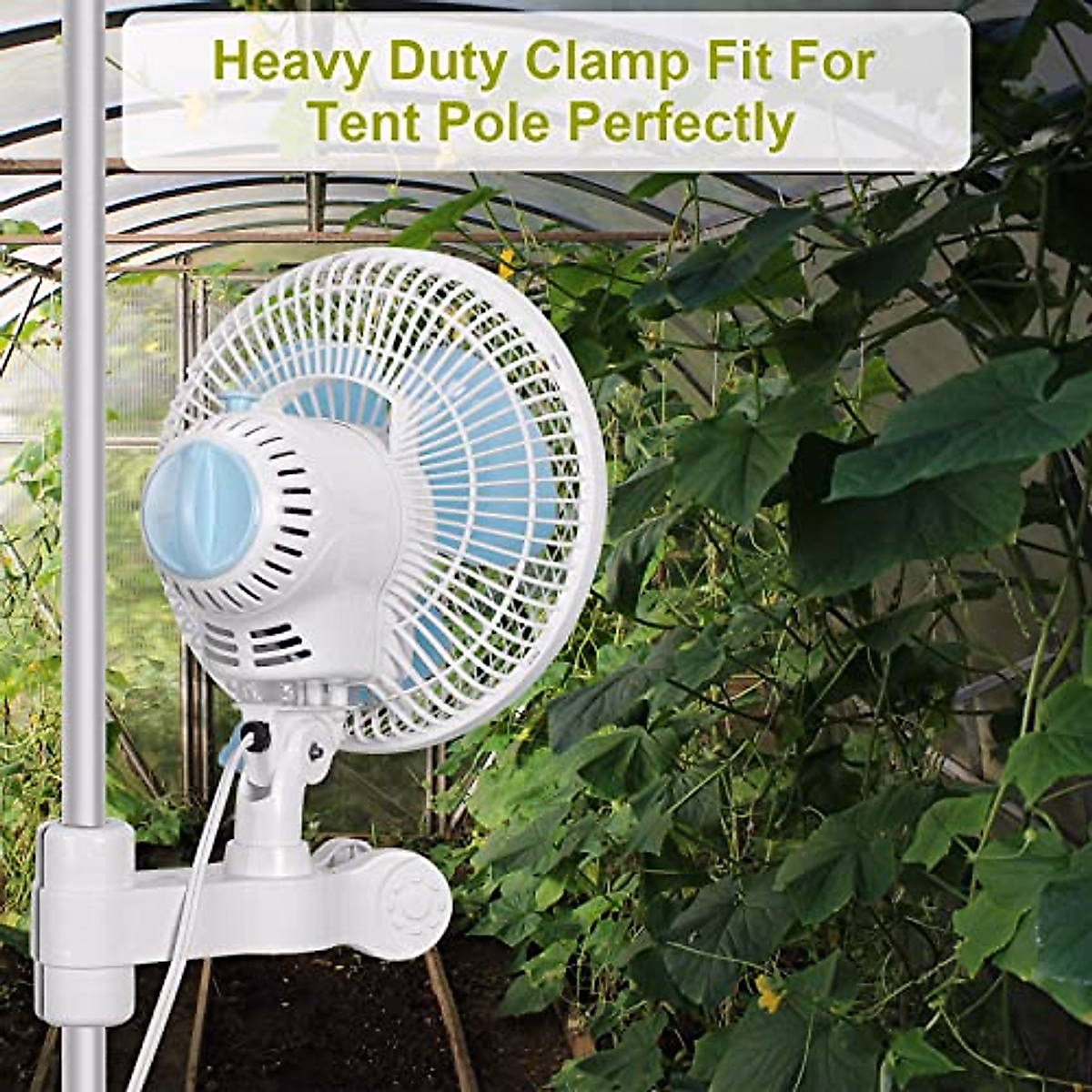 blessny 6 Inch Oscillating Grow Tent Clip on Fan for Pole Mount 0.6-1 inch, 8 Ft Long cord Small growing Monkey Fan Oscillation for Hydroponic, 20W 2-Speed Super quiet with Heavy duty Clamp