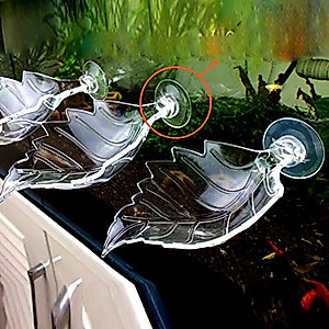 JZMYXA Shrimp Feeding Dish Shrimp Feed Dish Leaf Shaped Bowl